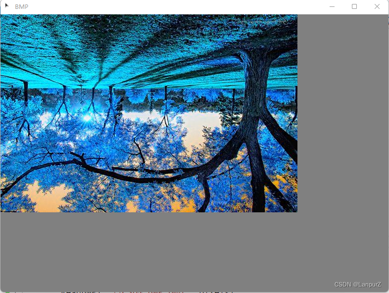 解析BMP格式图片_010editor中显示图片结构-CSDN博客