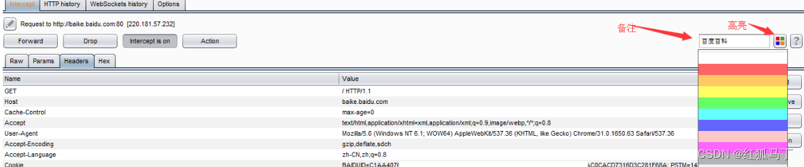 burp的简单使用_burp使用教程-CSDN博客