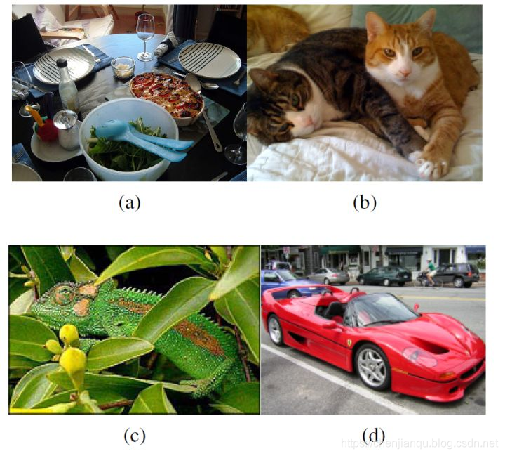 选择性搜索算法(Selective Search)超详解（通俗易懂版）-CSDN博客