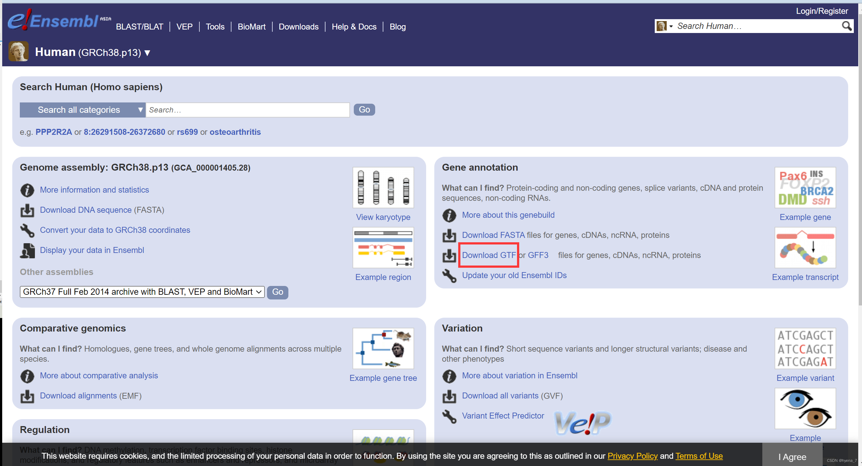 如何下载Homo_sapiens.GRCh38.100.gtf.gz和Homo_sapiens.GRCh37.87.gtf.gz参考基因组注释文件_ensemble数据库grch37-CSDN博客