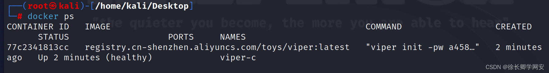 Viper炫彩蛇的下载与安装(MSF图形化界面)_简易极速安装版-CSDN博客