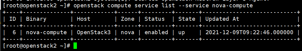 Nova的安装与配置_compute上显示没有nova.conf-CSDN博客