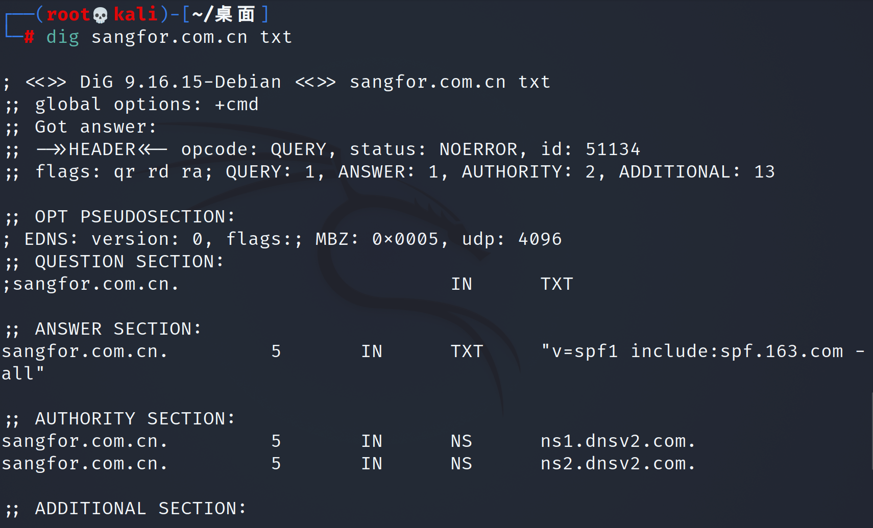 DNS信息查询_怎样查询 dns历史访问记录-CSDN博客