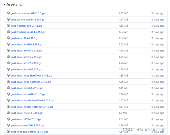 ubuntu20.04部署gost服务_ubantu 安装 gost-CSDN博客