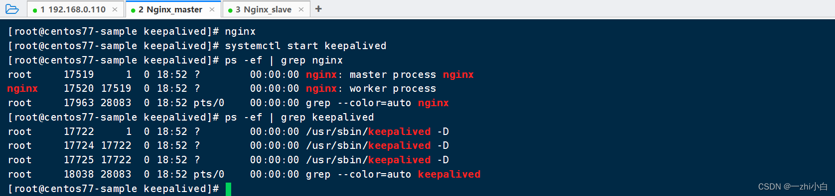 【服务端】高可用Nacos集群（伪集群）Keepalived+Nginx+Nacos+MySQL_nacos nginx 集群-CSDN博客