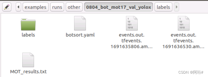yolo_track复现记录_modulenotfounderror: no module named 'boxmot-CSDN博客