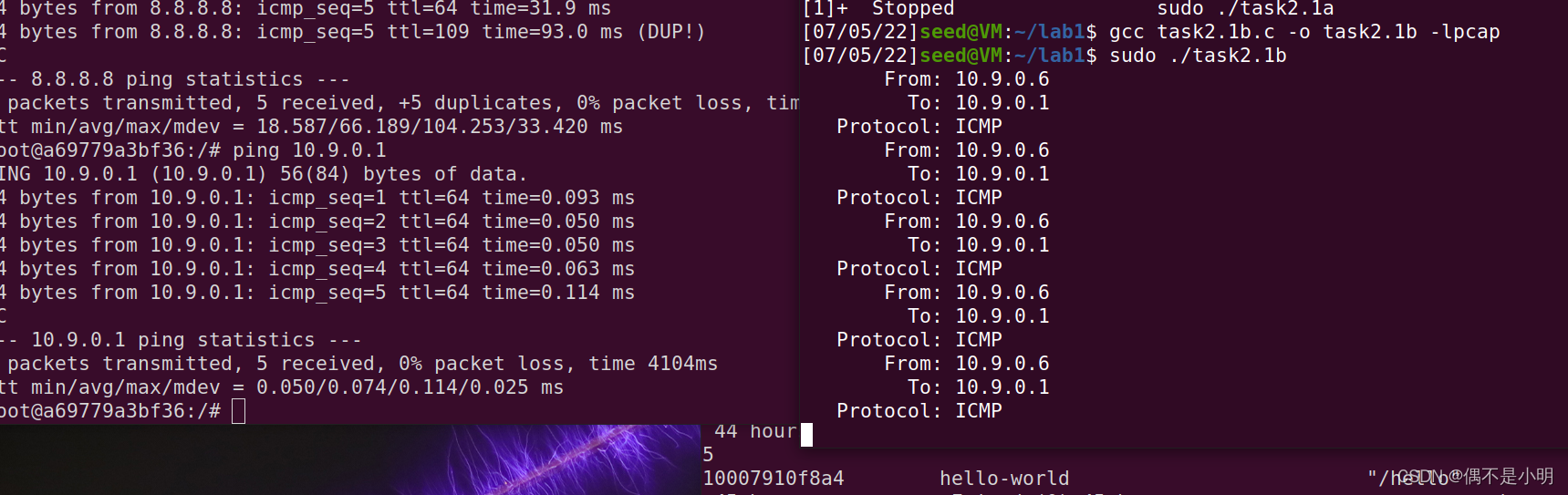 Lab1 Packet Sniffing and Spoofing Lab-CSDN博客