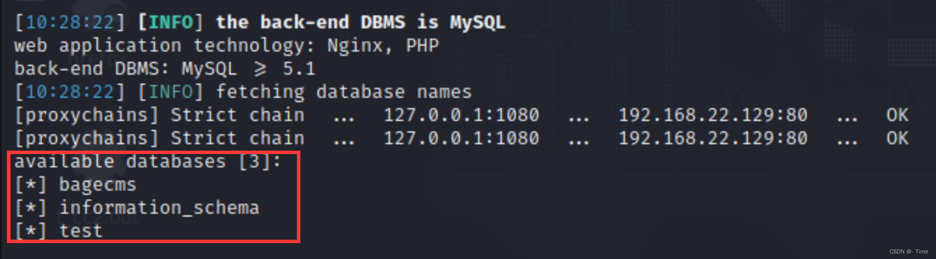 Socks代理-CSDN博客