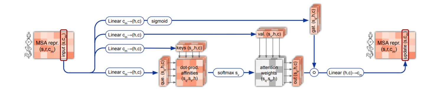 AlphaFold2算法详解-CSDN博客