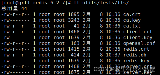Redis部署全攻略——SSL/TLS配置_redis tls-CSDN博客