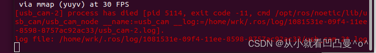 [usb_cam-2] process has died 的一种解决方法-CSDN博客