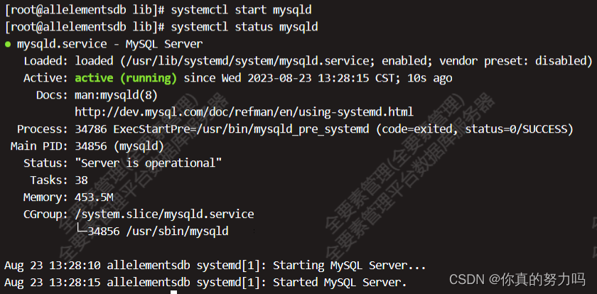 银河麒麟V10安装mysql-CSDN博客