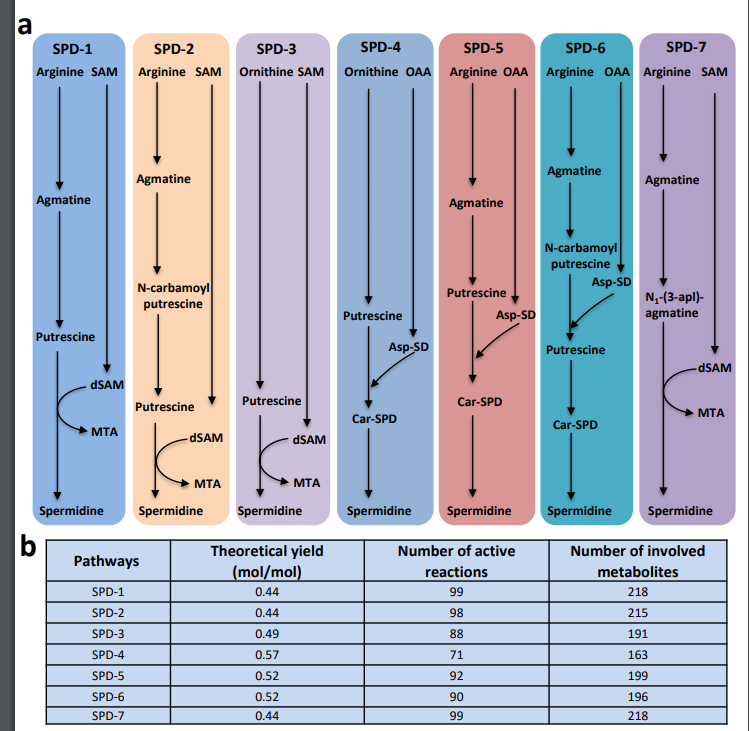 基因组代谢网络（GEMS）与全基因组模型从入门到实践系列-----（2）文献案例详细讲解_基因组代谢模型(gem)-CSDN博客