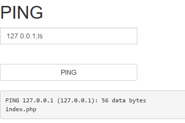 [ACTF2020 新生赛]Exec 1_exec ctf ls没发现文件-CSDN博客