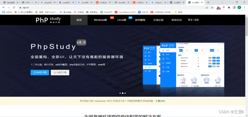 RIPS工具_rips下载-CSDN博客