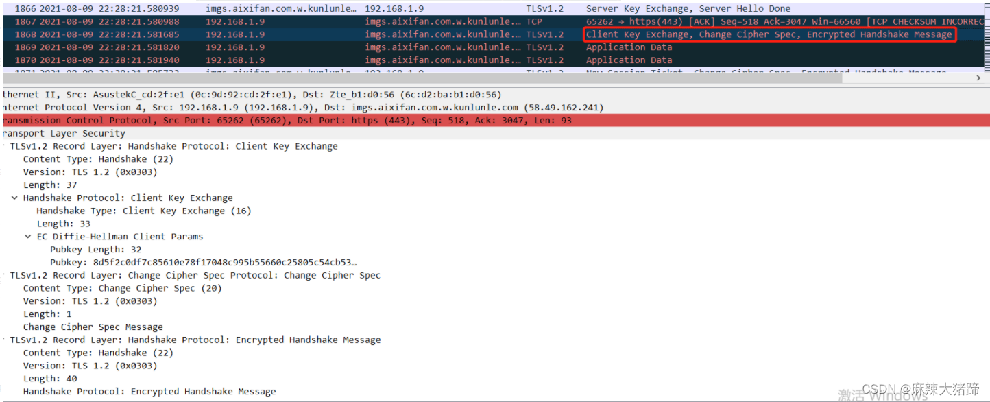 SSL握手过程实例抓包分析_ssl抓包分析-CSDN博客