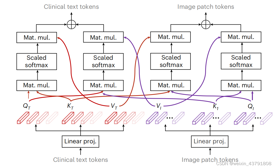 好文推荐 A transformer-based representation-learning model with unified processing of multimodal ...