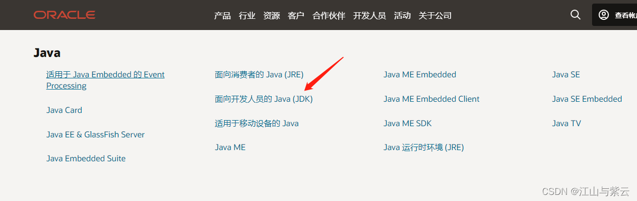 Java JDK 的ORACLE 官网下载（中文页面）