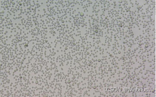 哺乳表达宿主：中国仓鼠卵巢细胞(CHO）_cho细胞定向驯化-CSDN博客