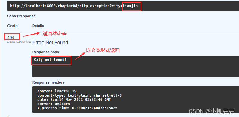 15fastapi 框架错误处理 Errno 99 Error While Attempting To Bind On Addre Csdn博客 2425