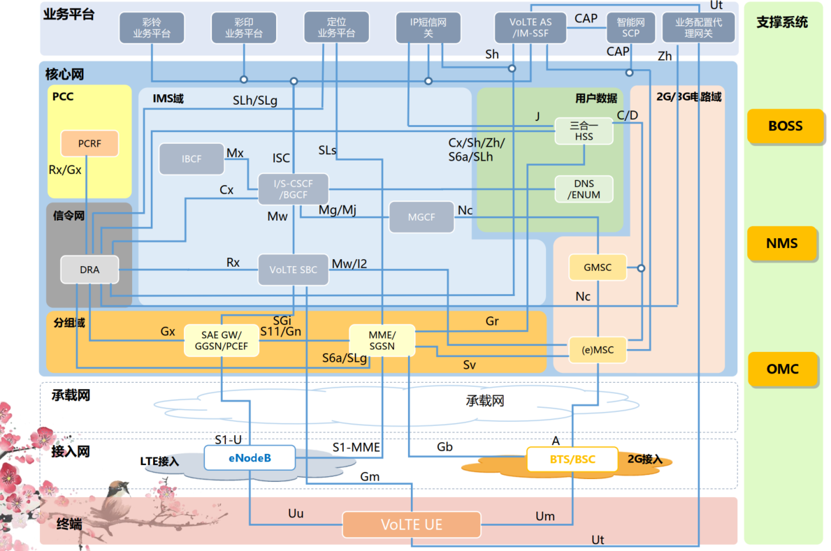 IMS 网络架构（三）_ims 组网-CSDN博客