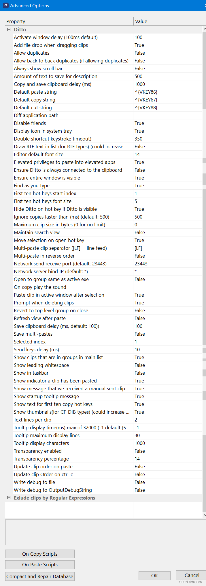 Ditto Advanced Options高级选项翻译_ditto 高级 设置-CSDN博客