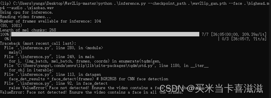 wav2lip模型复现_wav2lip 复现-CSDN博客