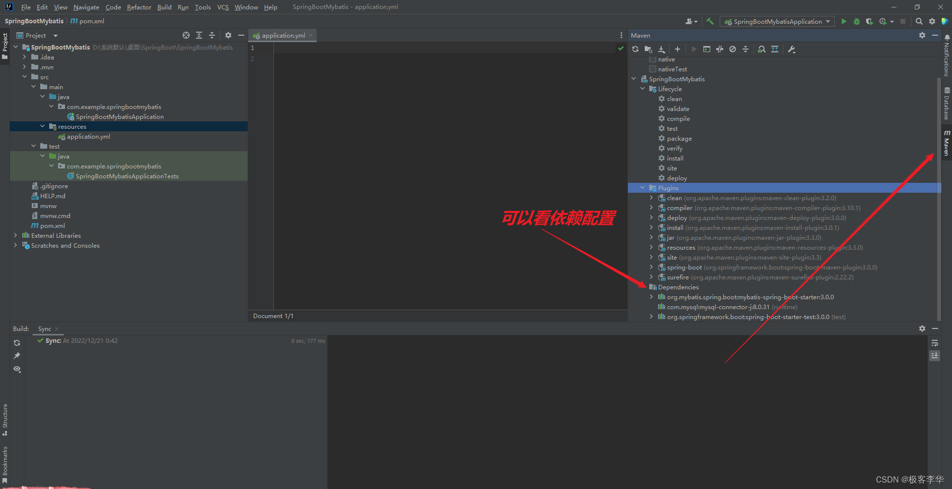 SpringBoot整合MyBatis_springboot目录com.example怎么设置-CSDN博客