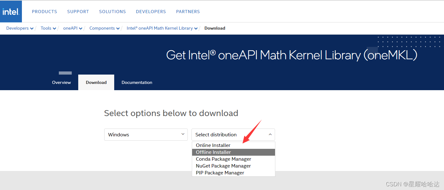 英特尔®oneAPI 数学内核库（oneMKL）windows安装教程-CSDN博客