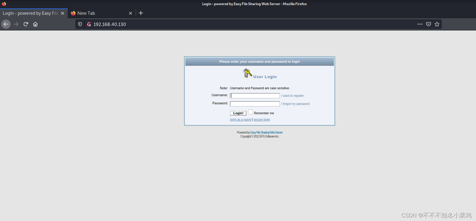Easy File Sharing Web Server 缓冲区溢出漏洞 File Sharing Wizard 缓冲区错误漏洞 Csdn博客