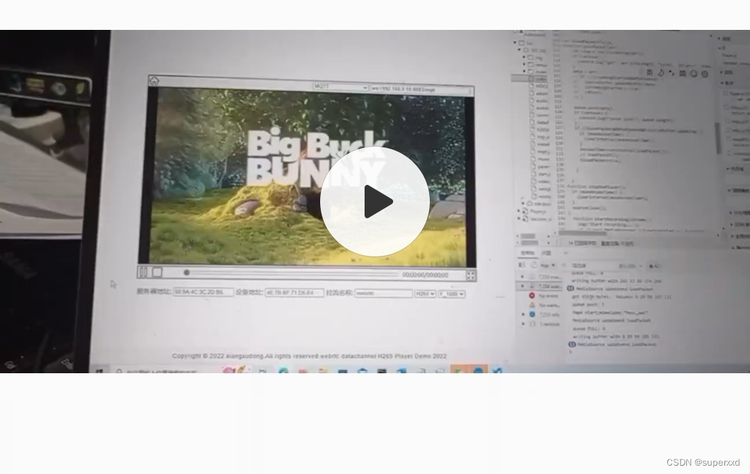 webrtc 浏览器播放器支持mse硬解_mse h265-CSDN博客
