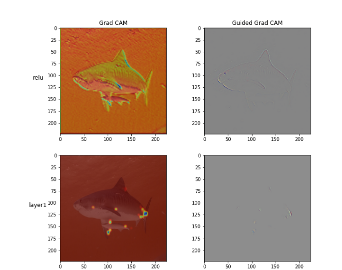 Explainable CNNs：基于PyTorch的可视化包，用于为CNN生成分层解释_explainable-cnn-CSDN博客