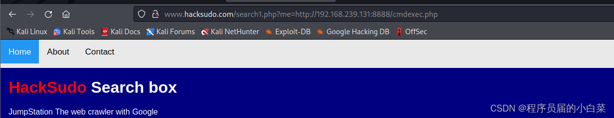 hacksudo search之vulnhub_vulnhub hacksudo website-CSDN博客