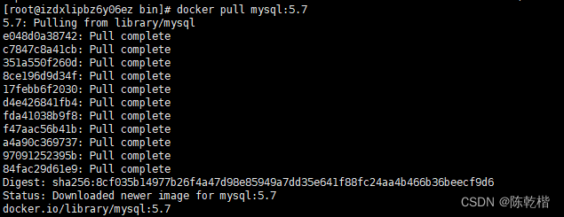 Docker安装mysql步骤 Csdn博客