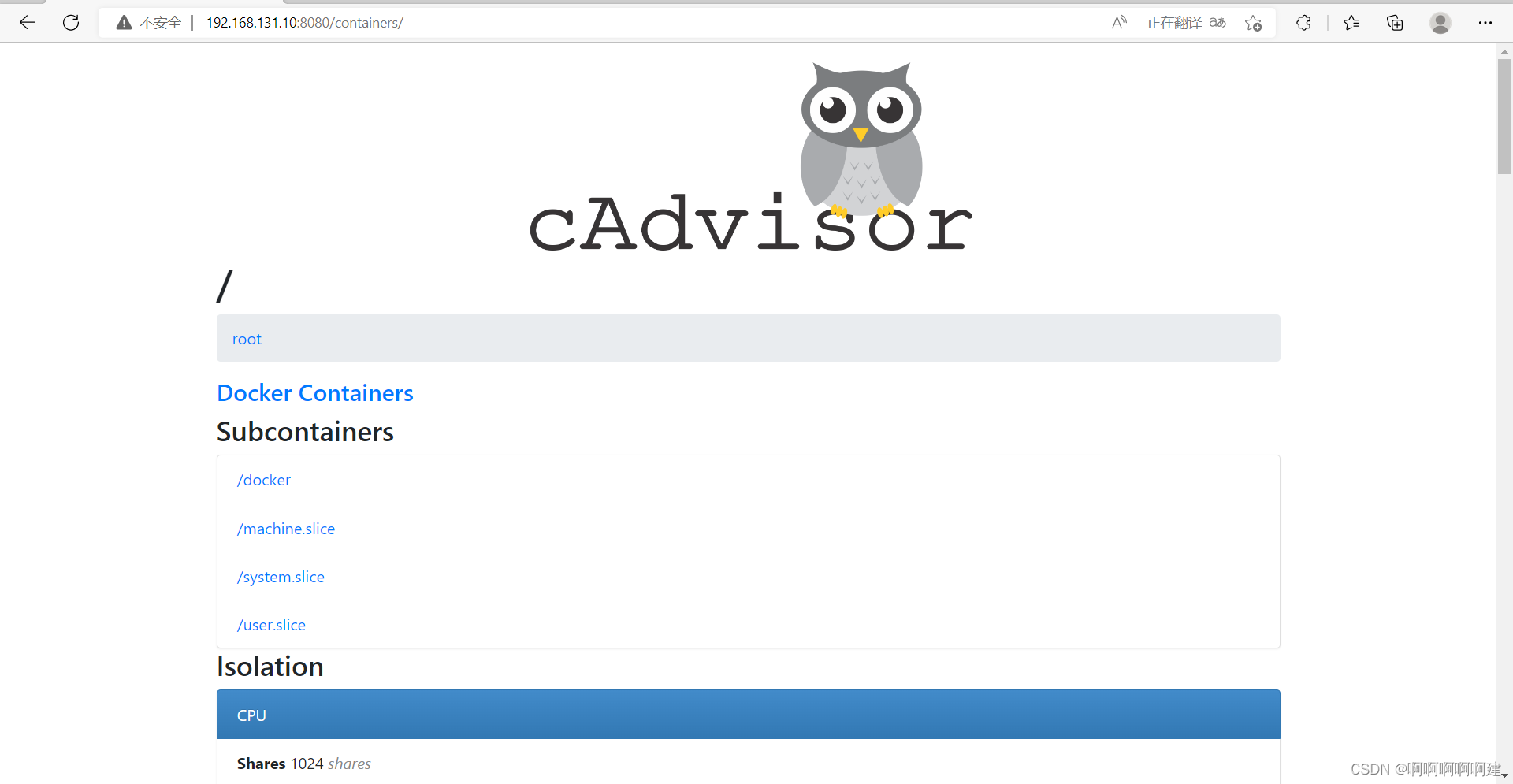（Docker）cAdvisor的安装使用_docker 安装 cadvisor-CSDN博客