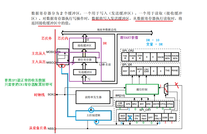 Cortex-M4-SPI总线（一）_spi cs-CSDN博客