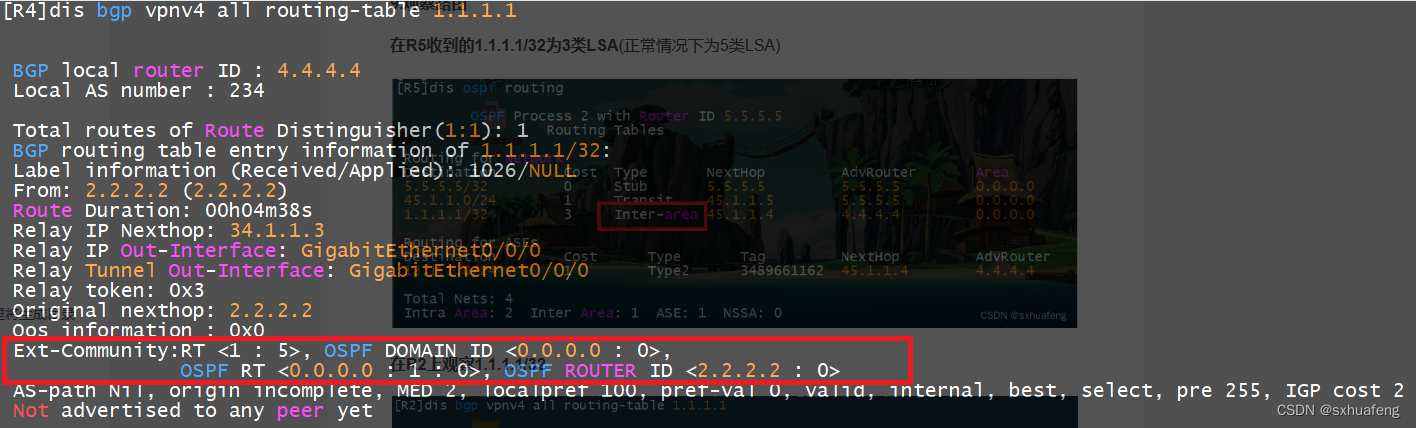 【HCIE】MPLS-VPN OSPF与BGP互操作特性（domain-id）_ospf domain id-CSDN博客