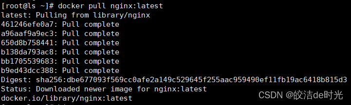 Docker安装nginx_docker下安装nginx-CSDN博客
