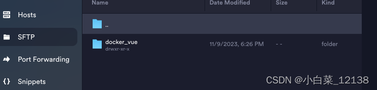 Mac系统如何传输文件到Linux虚拟机(通过系统终端 sftp)_mac sftp-CSDN博客