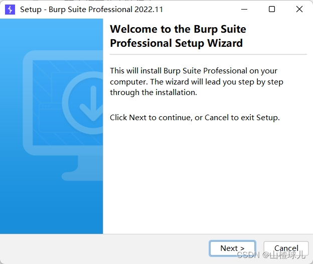 Burpsuite Pro V2022.11学习版安装_burpsuite 2022.11-CSDN博客
