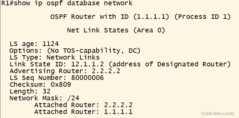 【CCNP】第五章 动态路由协议-OSPF_ospf区域设计的理念是()-CSDN博客