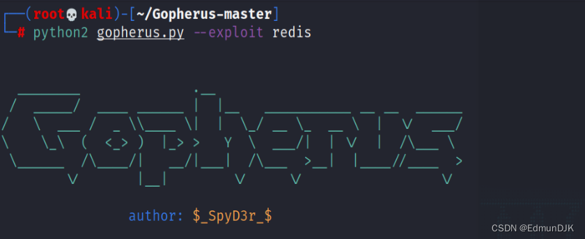 DAY37：SSRF 漏洞_302跳转漏洞-CSDN博客