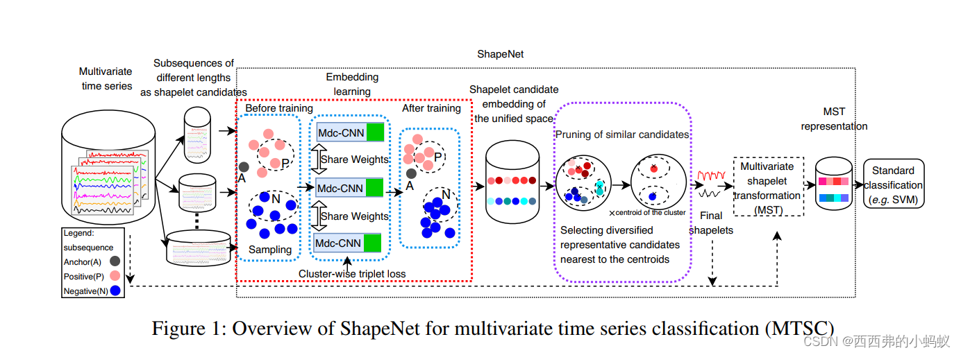 ShapeNet: A Shapelet-Neural Network Approach forMultivariate Time Series Classification（AAAI2021 ...