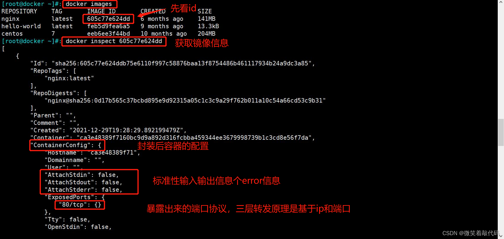 docker镜像与容器的基本操作_docker execstart-CSDN博客