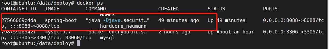 Ubuntu20.04基于docker部署springboot项目_ubuntu20.04搭建springboot 2.6.5-CSDN博客