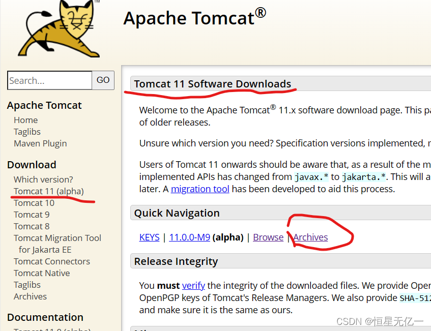 JDK17+tomcat11安装配置教程（压缩包方式）_tomcat11.0安装教程-CSDN博客