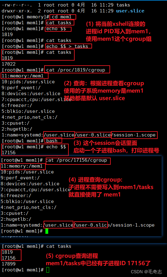Kubernetescgroup和namespace从linux到kuberneteslinux Cgroup Namespace
