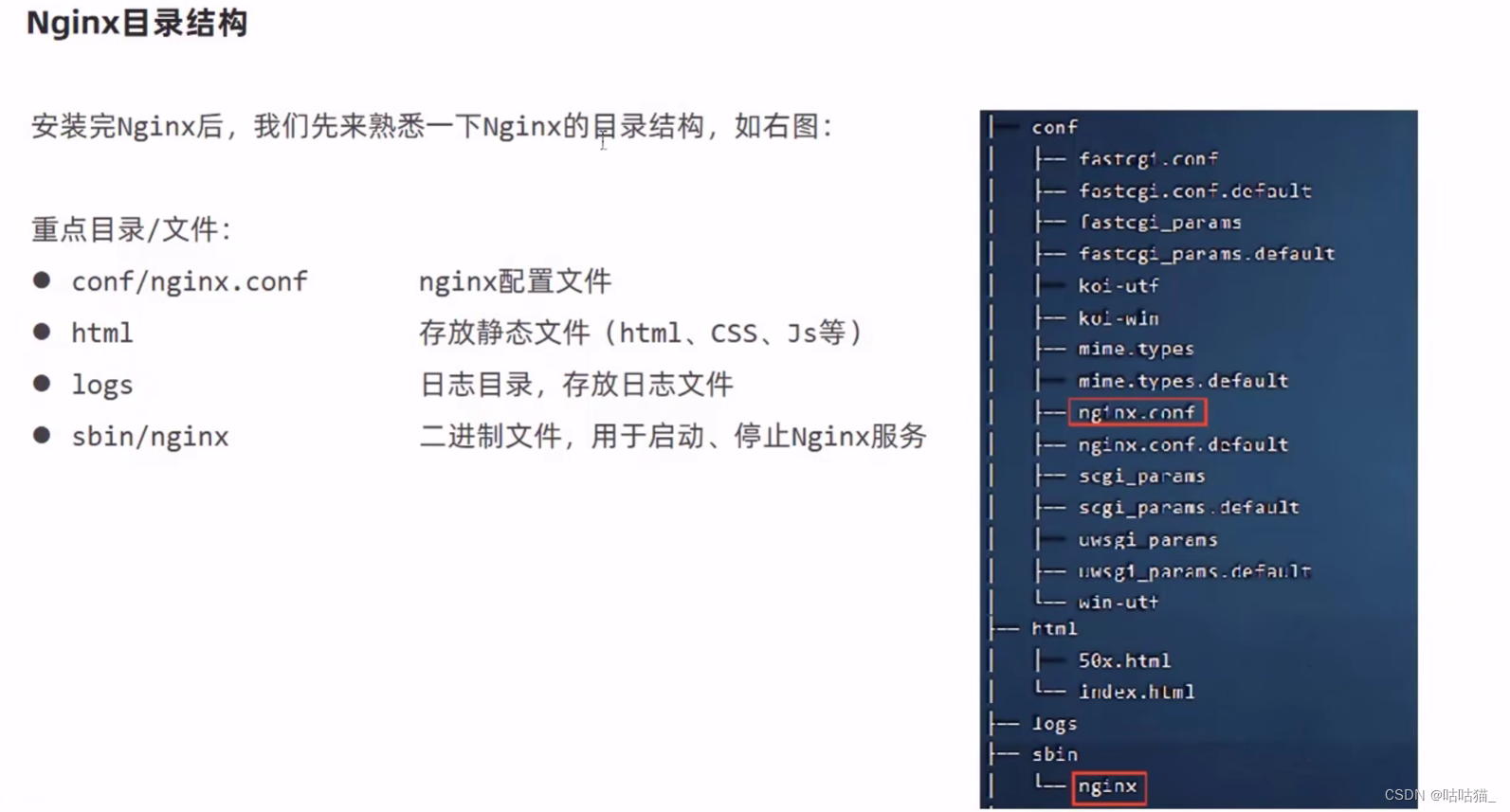 Nginx_nginx1.2-CSDN博客