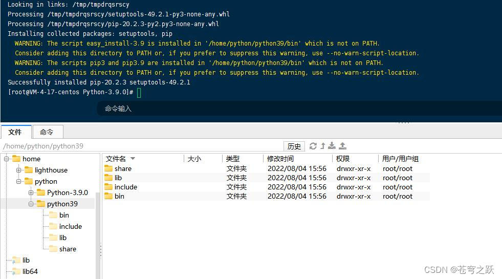 docker运行centos镜像 安装python3.9环境_docker python3.9-CSDN博客