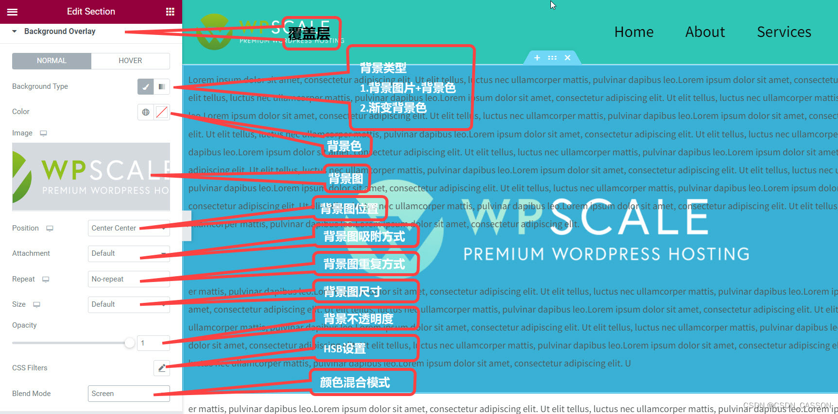 Wordpress页面编辑器插件 Elementorwordpress Elementor Csdn博客